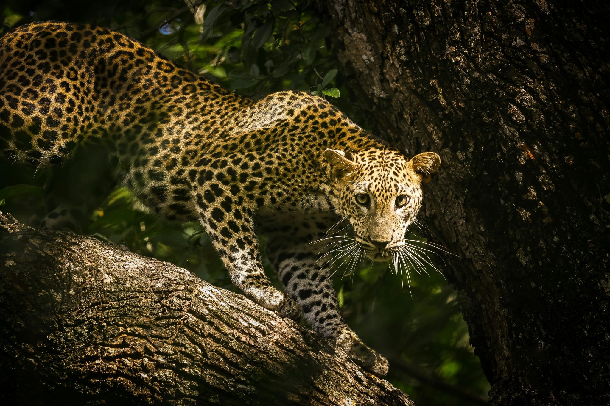 10 Best Places to Visit in Sri Lanka | Mistiora Tours